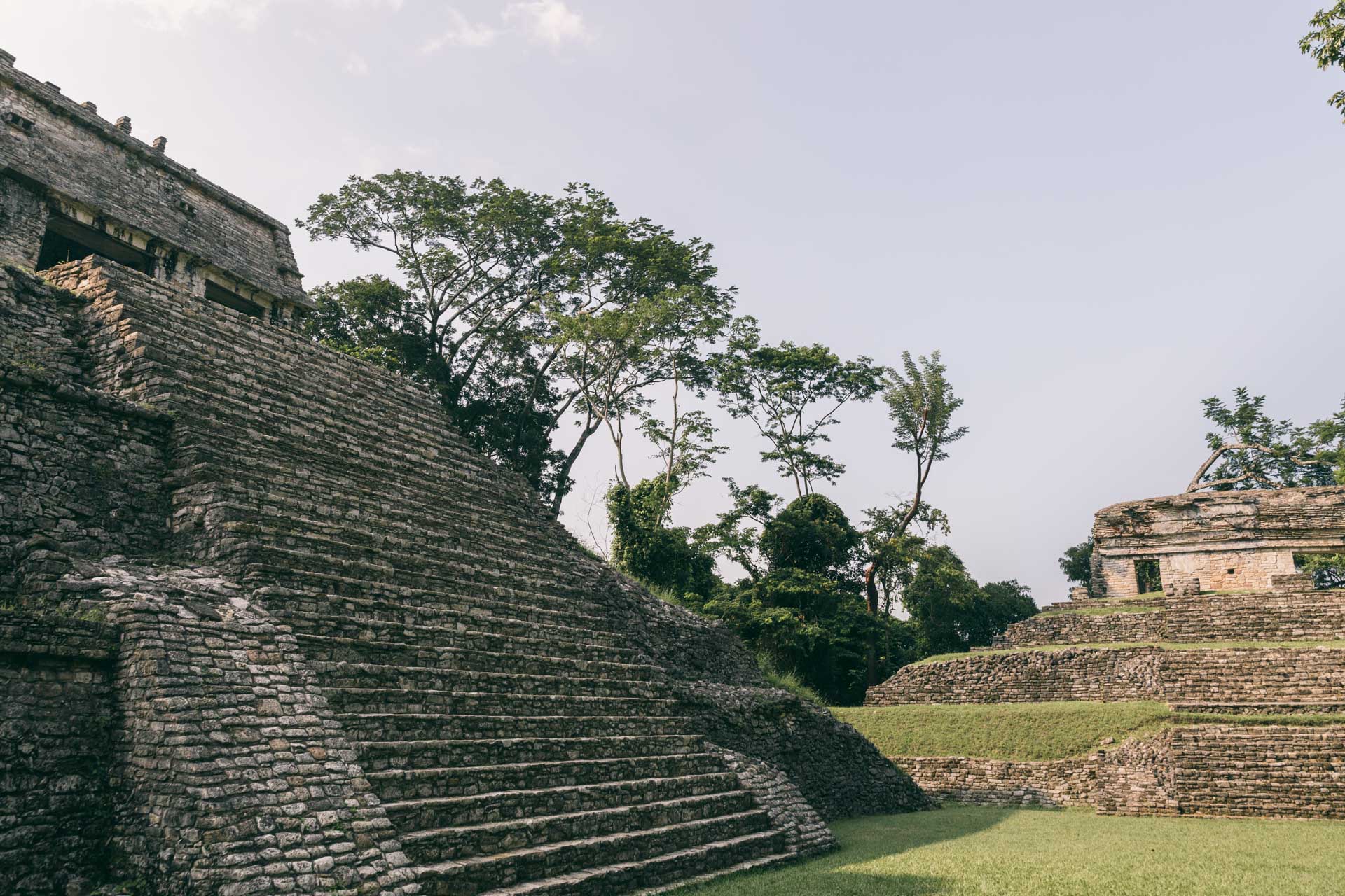 Rejseguide til Palenque: Alt hvad du skal vide om at besøge de magiske ...