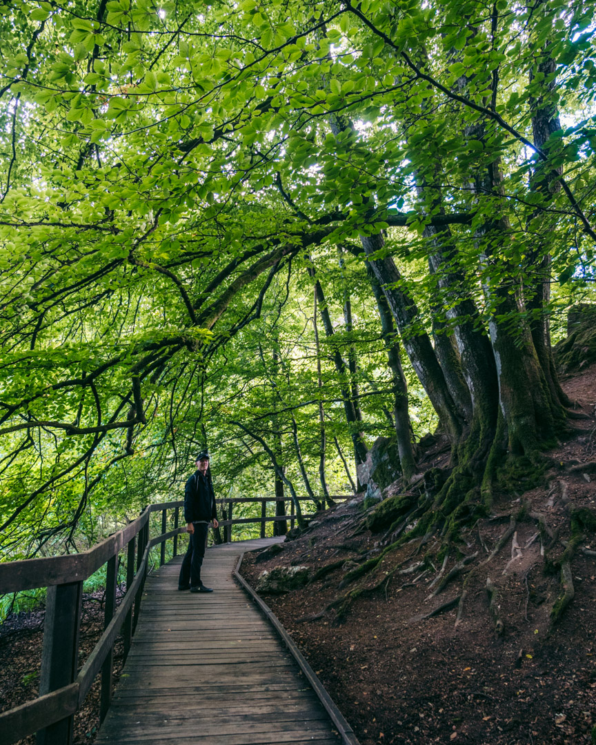 På vandretur i Söderåsen Nationalpark i Skåne, Sverige – Nordombord