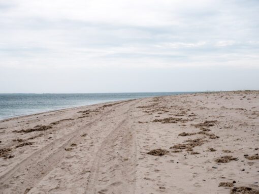 Sild rejseguide: 12 bedste oplevelser på den tyske ferieø Sylt – Nordombord