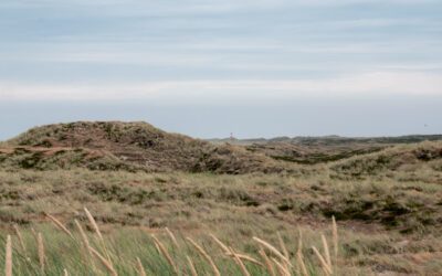 Sild rejseguide: 12 bedste oplevelser på den tyske ferieø Sylt – Nordombord