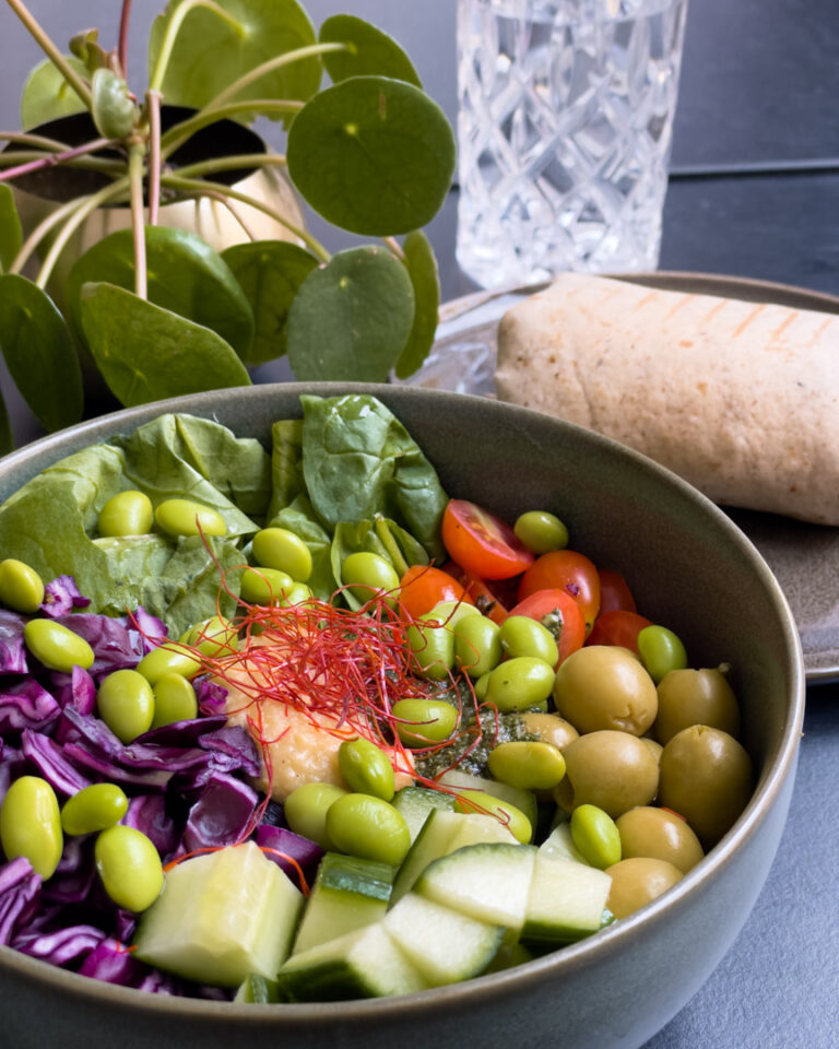 Slesvig-Holsten rejseguide: Oplevelser & seværdigheder i den nordtyske ...