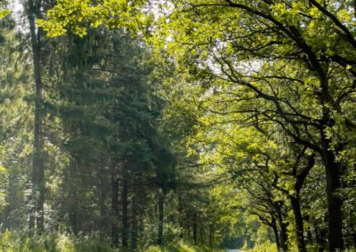 Slesvig-Holsten rejseguide: Oplevelser & seværdigheder i den nordtyske ...