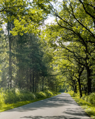 Slesvig-Holsten rejseguide: Oplevelser & seværdigheder i den nordtyske ...