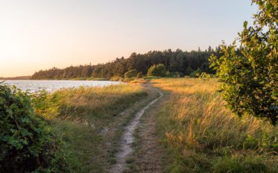 Slesvig-Holsten rejseguide: Oplevelser & seværdigheder i den nordtyske ...