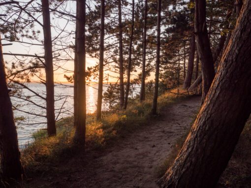 Slesvig-Holsten rejseguide: Oplevelser & seværdigheder i den nordtyske ...