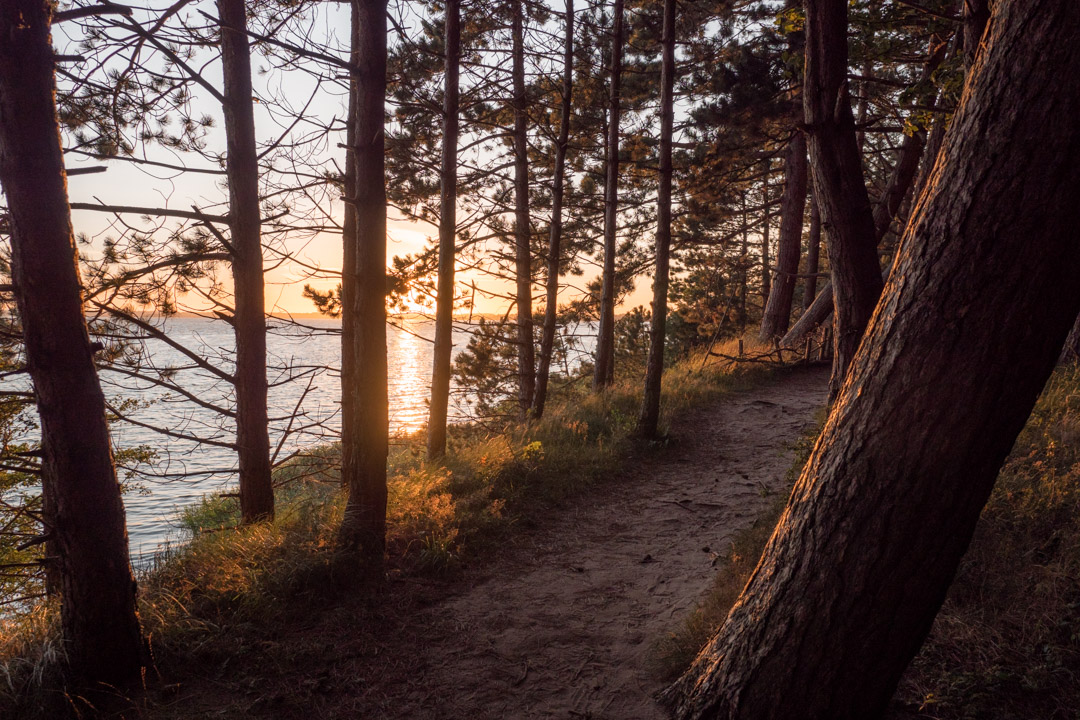 Slesvig-Holsten rejseguide: Oplevelser & seværdigheder i den nordtyske ...
