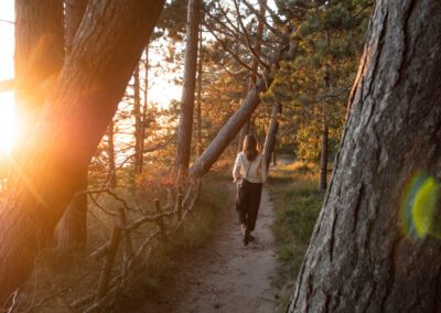 Slesvig-Holsten rejseguide: Oplevelser & seværdigheder i den nordtyske ...