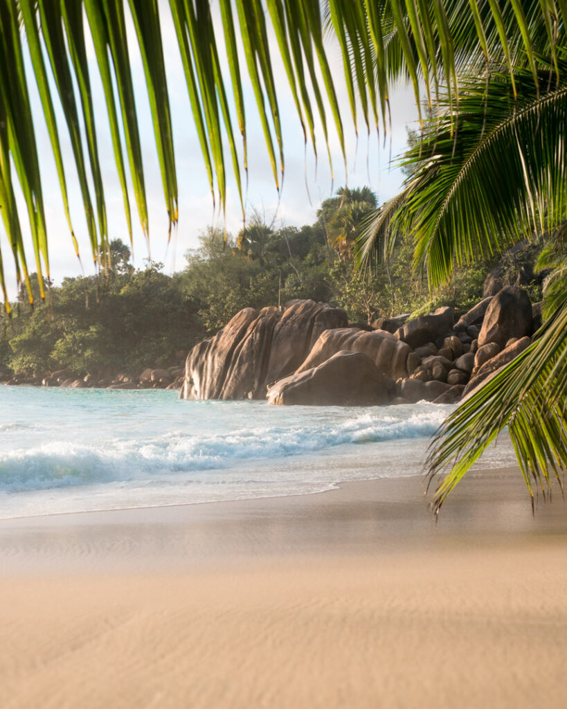 Rejseguide til Seychellerne: De bedste oplevelser, øer & strande – Nordombord