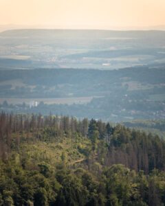 Rejseguide til Harzen: 16 bedste oplevelser & seværdigheder i Tysklands ...