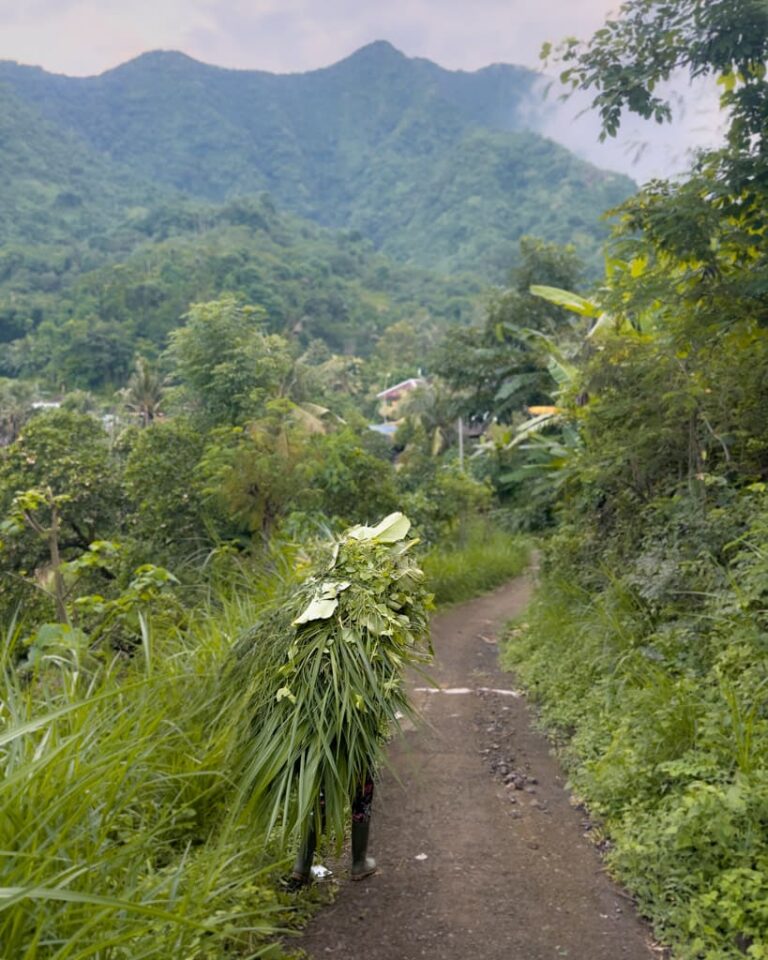 28 tips & gode råd til at besøge Bali: Alt du skal vide, inden du ...