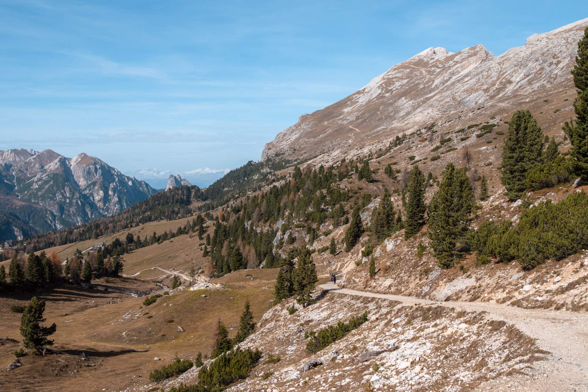 Guide til Monte Specie: Let vandretur til smuk panoramaudsigt i ...